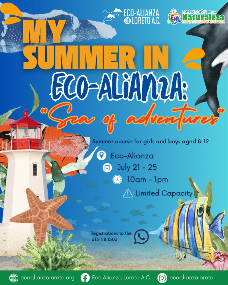 My Summer at Eco-Alianza: Sea of Adventures! - Eco Alianza de Loreto | Loreto, B.C.S.